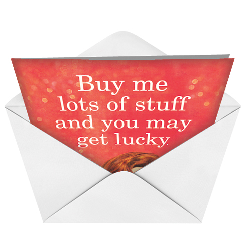 Buy Me Lot's Of Stuff Valentine's Day Funny Greeting Card