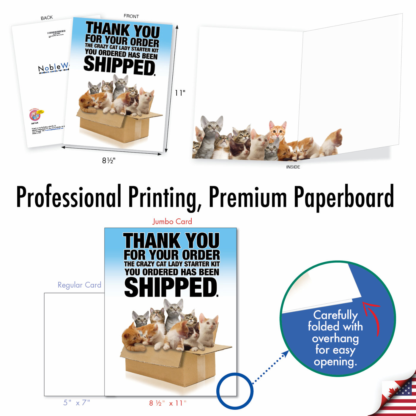 Crazy Cat Lady Starter Kit Envelope