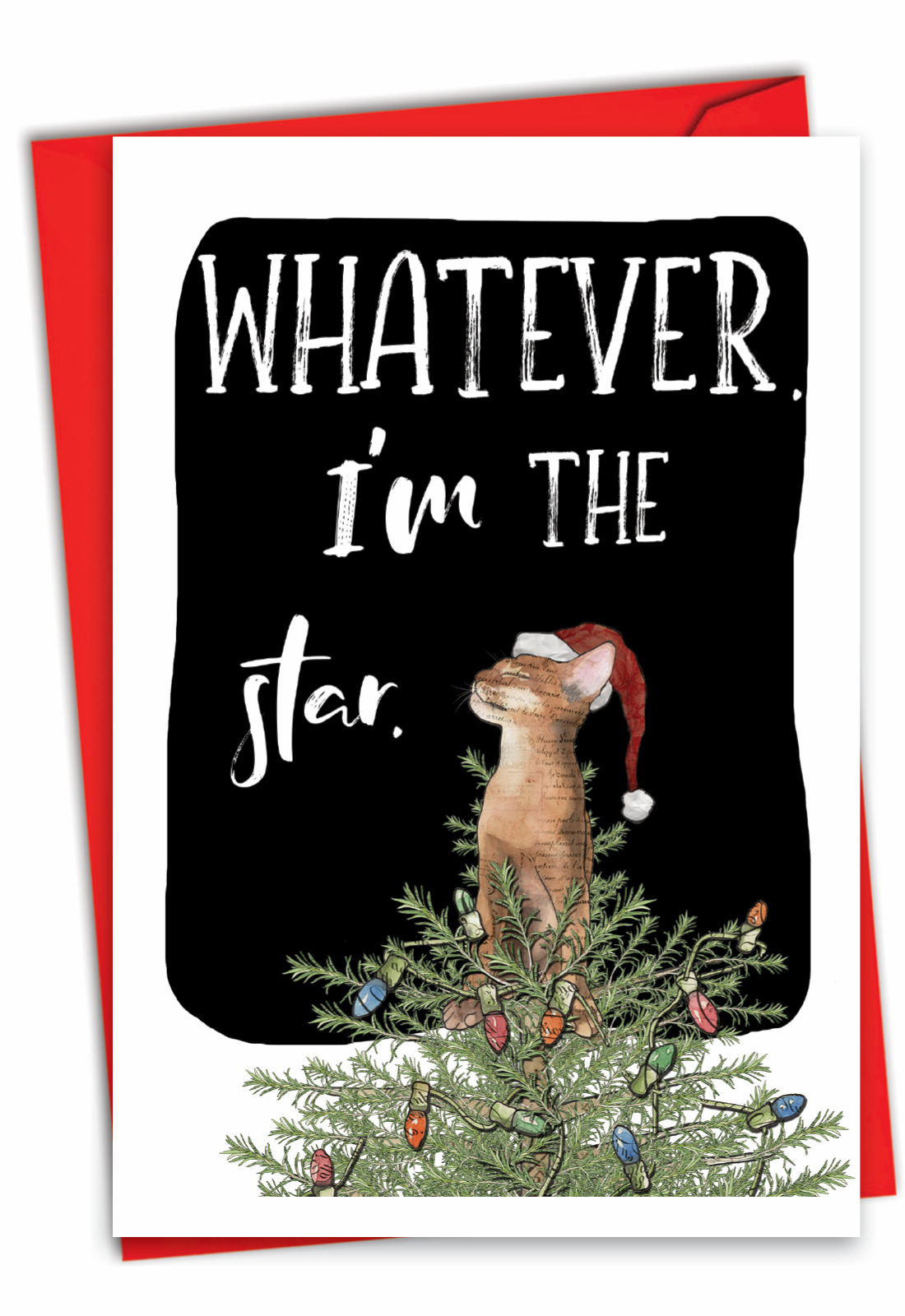 Cat Star: Funny Merry Christmas Card