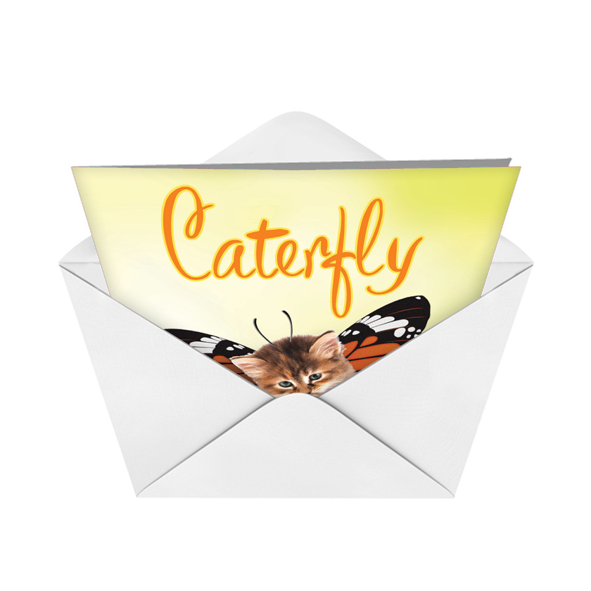 Caterfly Petigreet Not Greeted Paper Card