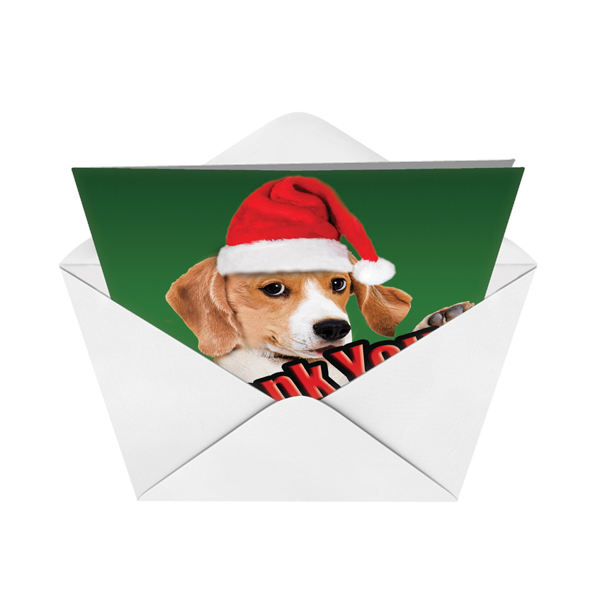 Dog Big Thanks: Creative Christmas Thank You Greeting Card