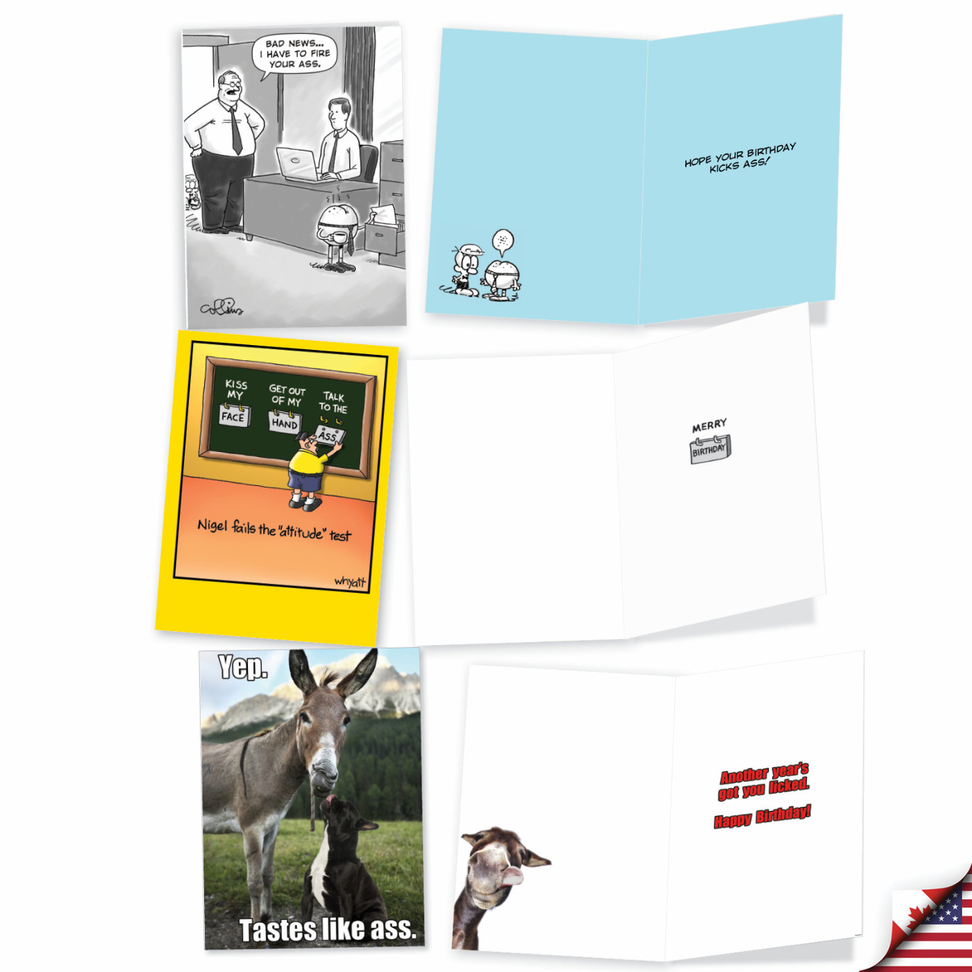 Classy Sassy And Assy: Funny Birthday Assorted Set of 10 Cards