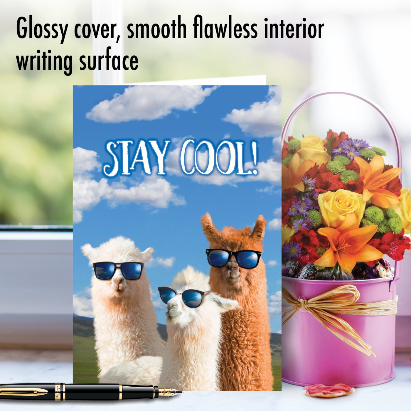 Cool Llamas - Congrats: Funny Congratulations Card