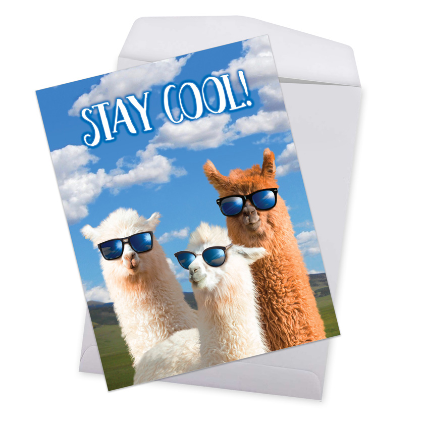 Cool Llamas: Congratulations Jumbo Printed Greeting Card