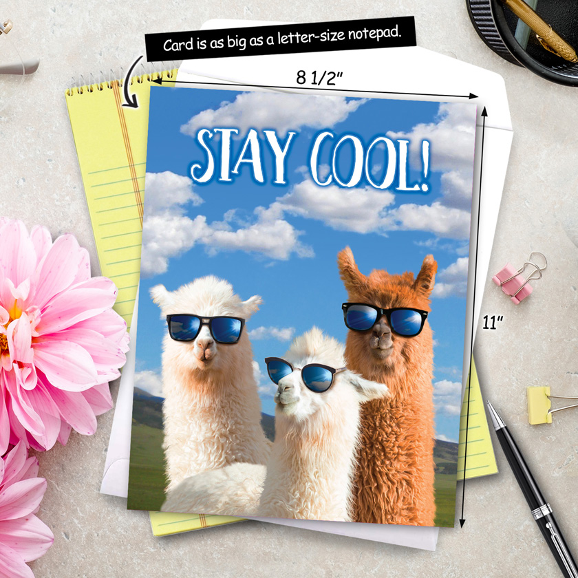 Cool Llamas: Congratulations Jumbo Printed Greeting Card