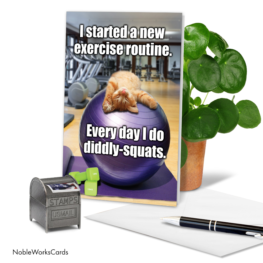 Diddly Squats: Hysterical Birthday Boxed Set of 3 Cards