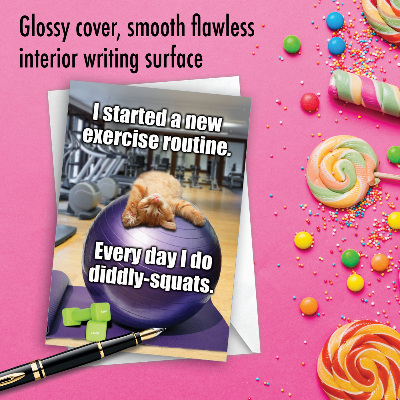 Diddly Squats: Humor Birthday Card - Cat