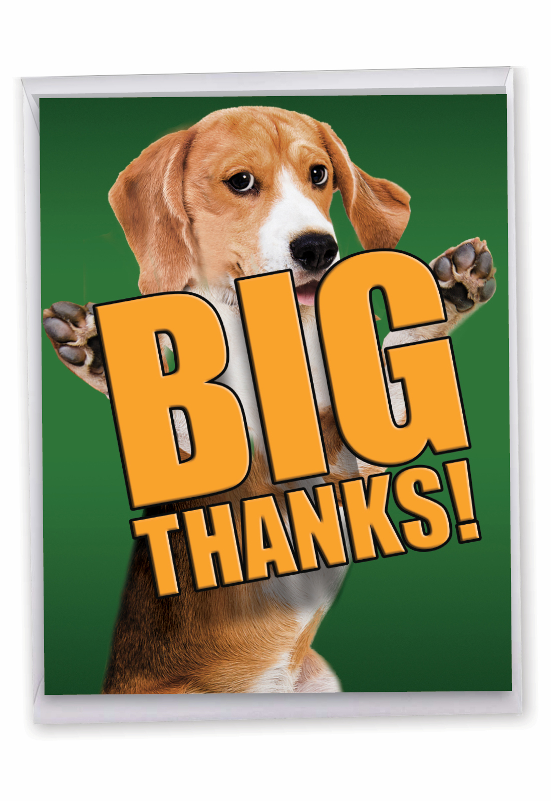 Dog Big Thanks: Stylish Thank You Jumbo Card