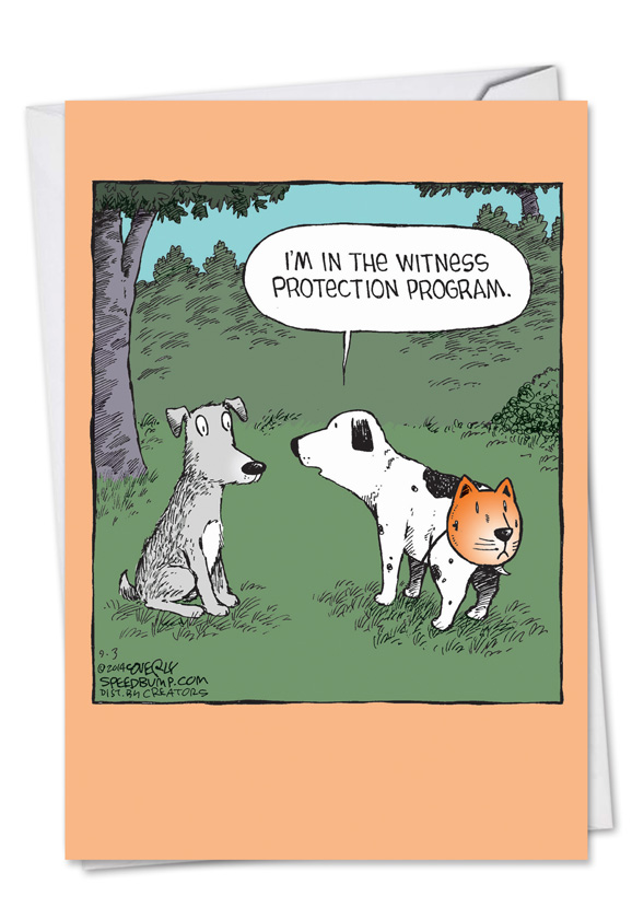 Dog Witness Protection Program: Humorous Birthday Paper Card