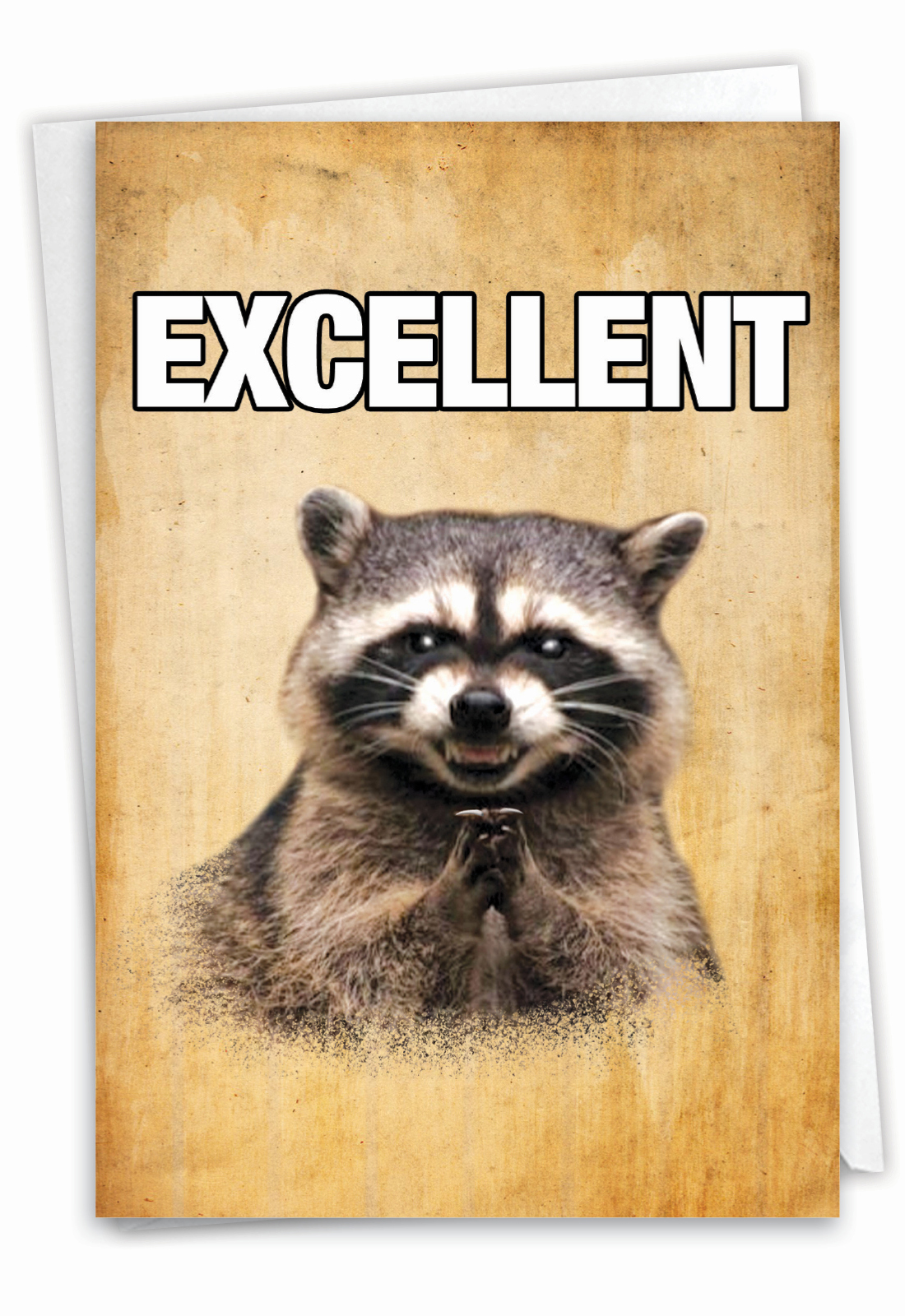 Excellent: Funny All Occasions Greeting Card - Raccoon