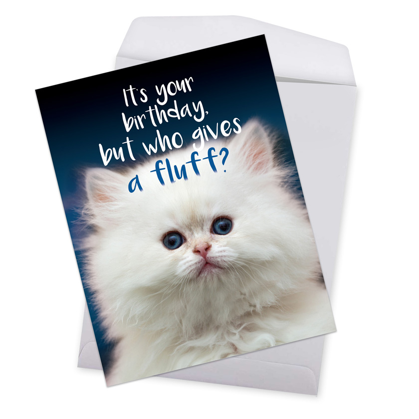 Fluffy Kitten: Hysterical Birthday Jumbo Printed Greeting Card