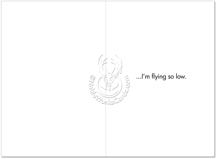 Flying Low Cartoons Miss You Paper Card D.T. Walsh
