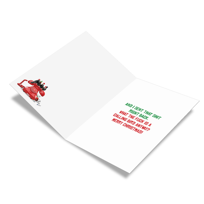 Four Calling Birds: Humorous Merry Christmas Paper Card