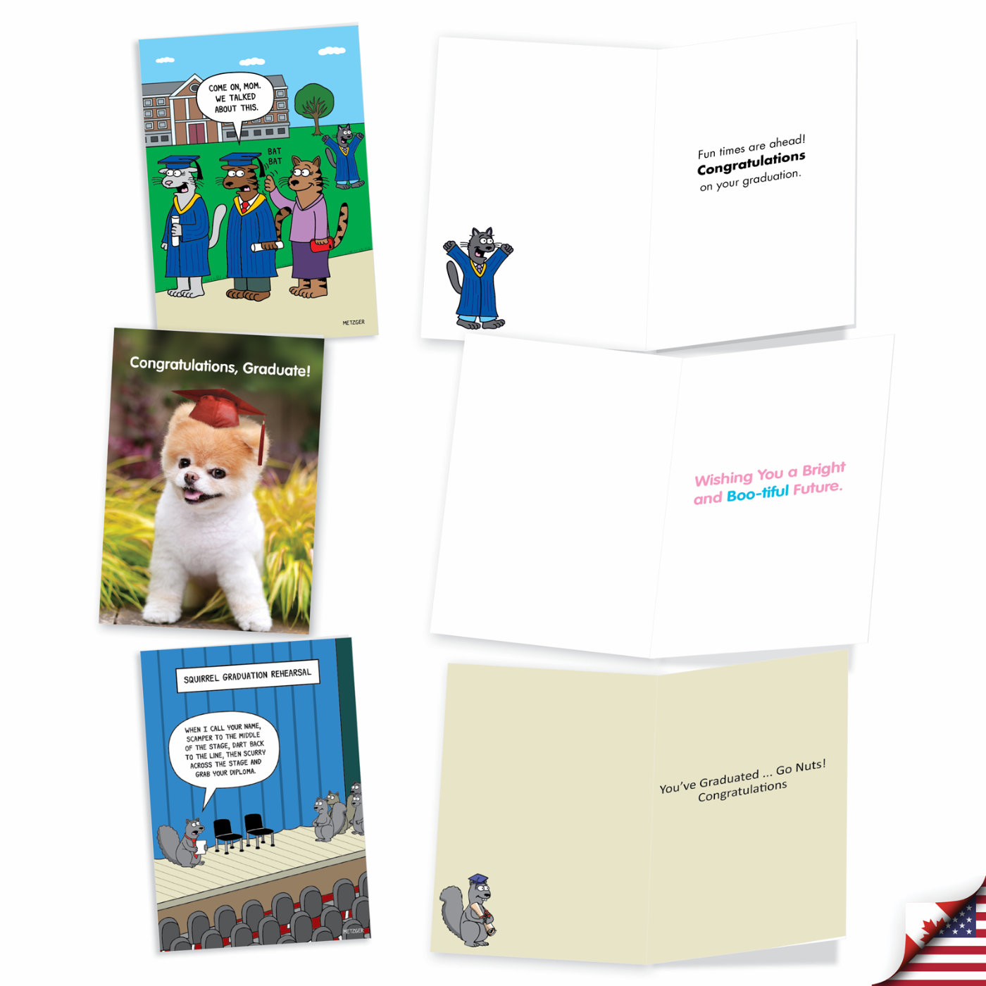 Animals Grads: Funny Graduation Assorted Set of 10 Cards - Dogs