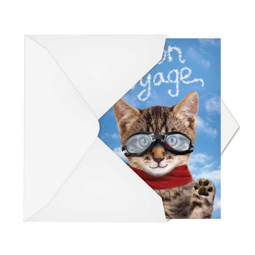 Goodbye Cat: Funny Bon Voyage Paper Card