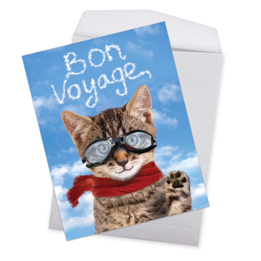 Goodbye Cat: Bon Voyage Over-sized Paper Greeting Card