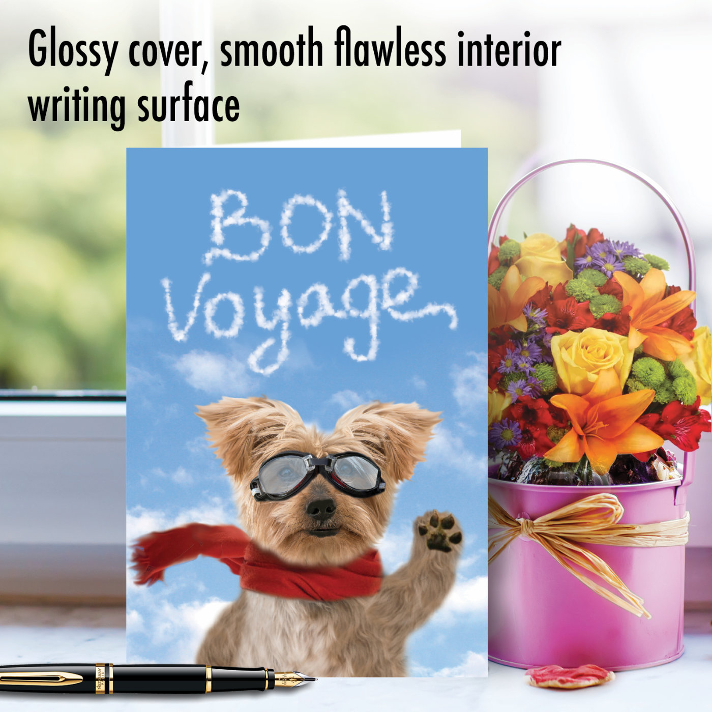 Goodbye Dog: Funny Bon Voyage Greeting Card