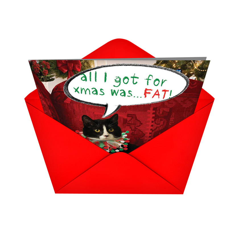 Got Fat For Christmas Petigreet Greeting Card By