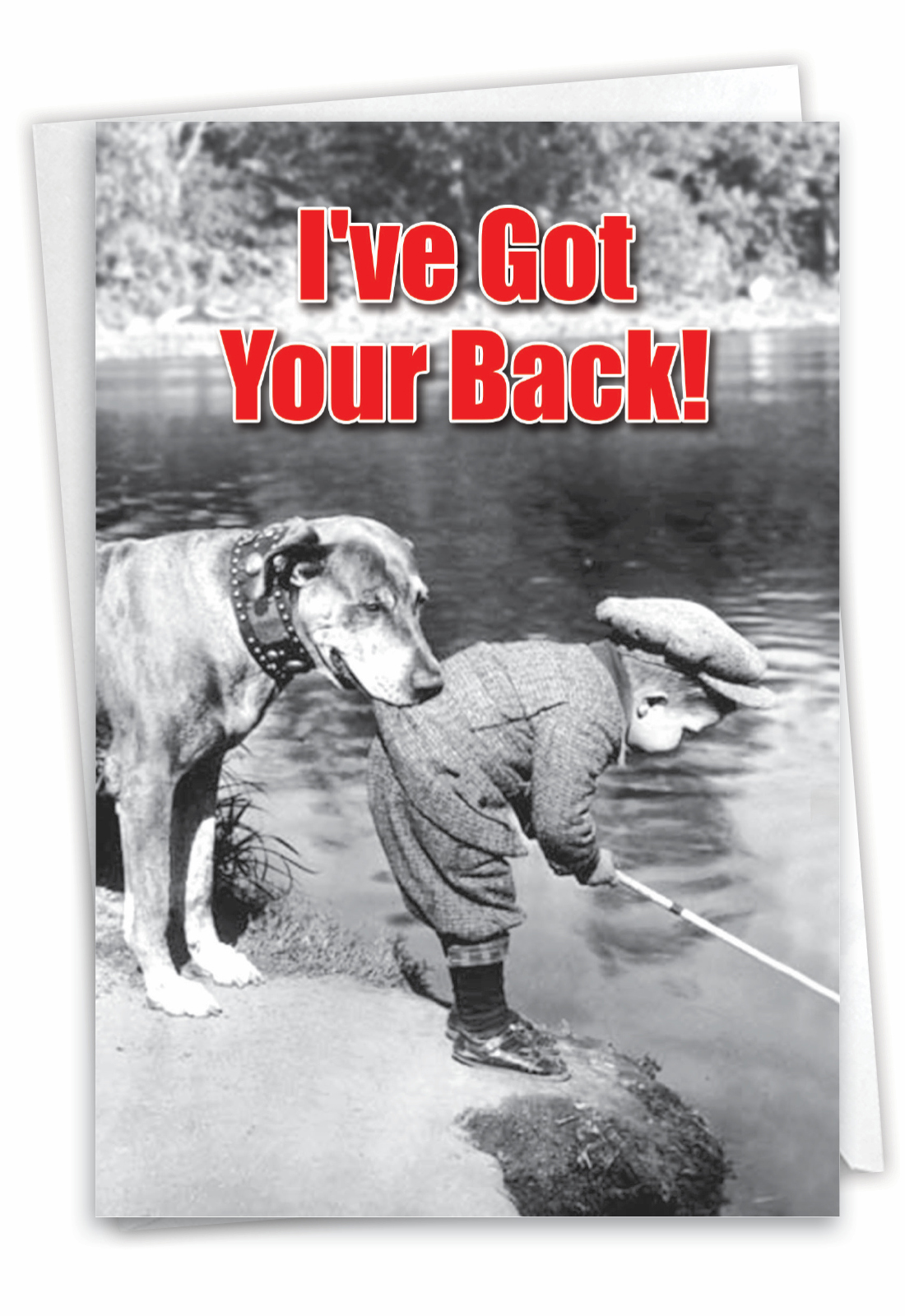 Got Your Back: Humor Friendship Card - Dog