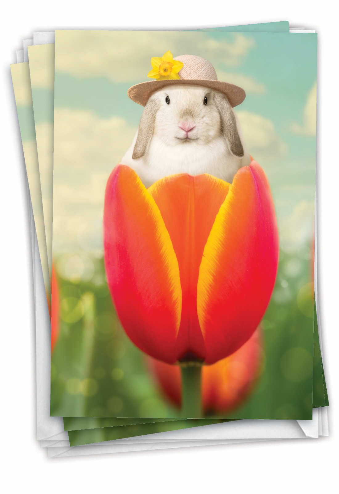 Bunny Tulip: Funny Easter Pack of 3 Cards