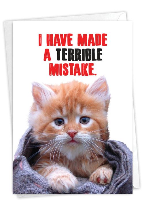 Cat Terrible Mistake: Hilarious Sorry Greeting Card