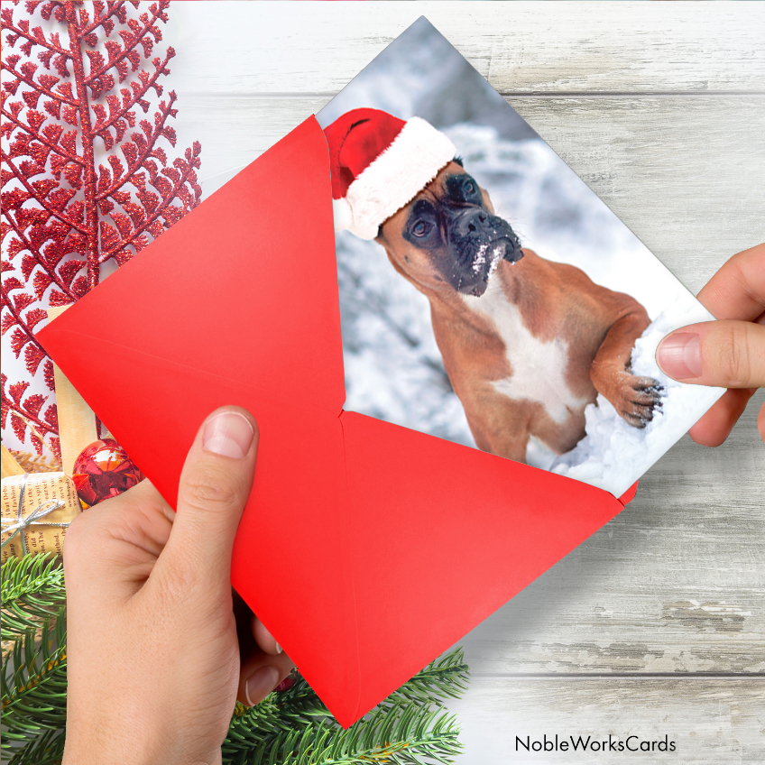 Holiday Best Boxers: Hilarious Merry Christmas Printed Greeting Card