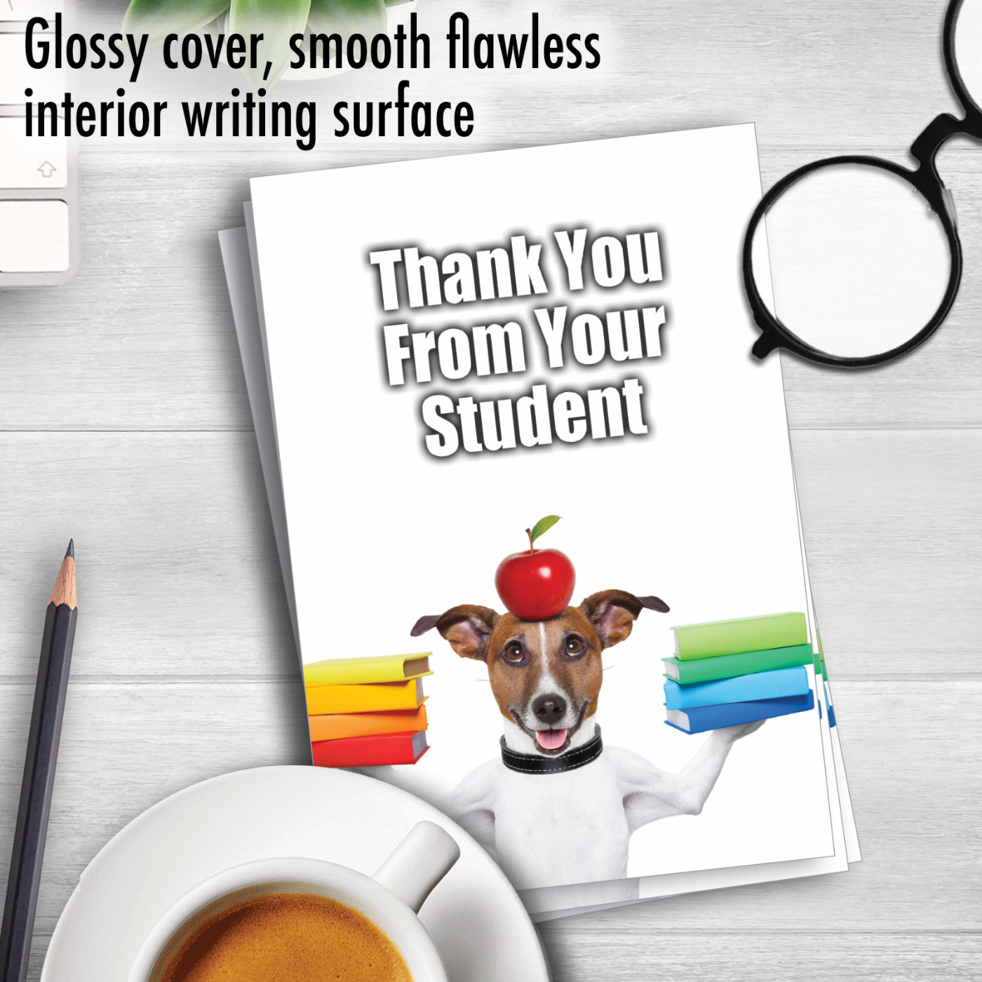 Thank You From Your Student: Funny Teacher Thank You Pack of 3 Cards - Dog