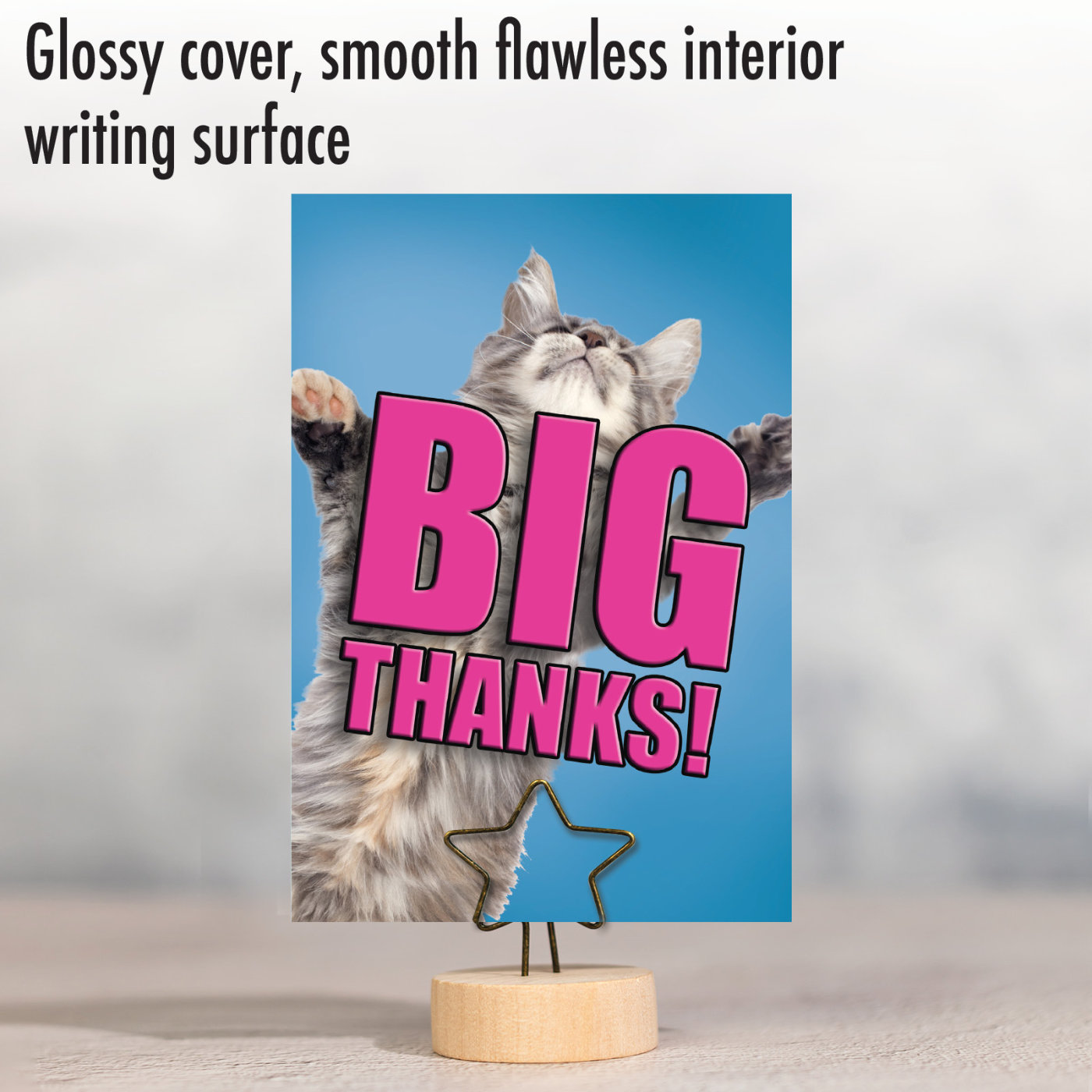 Cat Big Thanks: Artistic Birthday Thank You Greeting Card