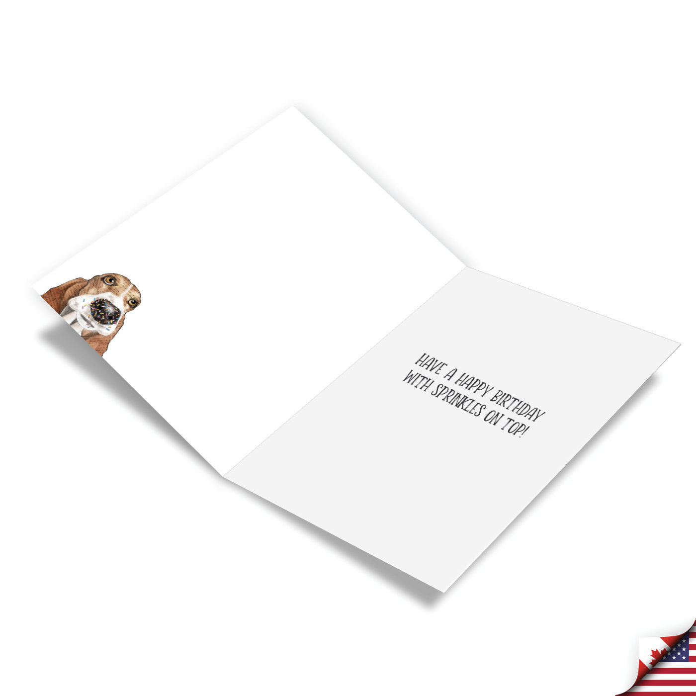 Dog Antics - Sprinkle Nose: Humorous Birthday Pack of 3 Cards