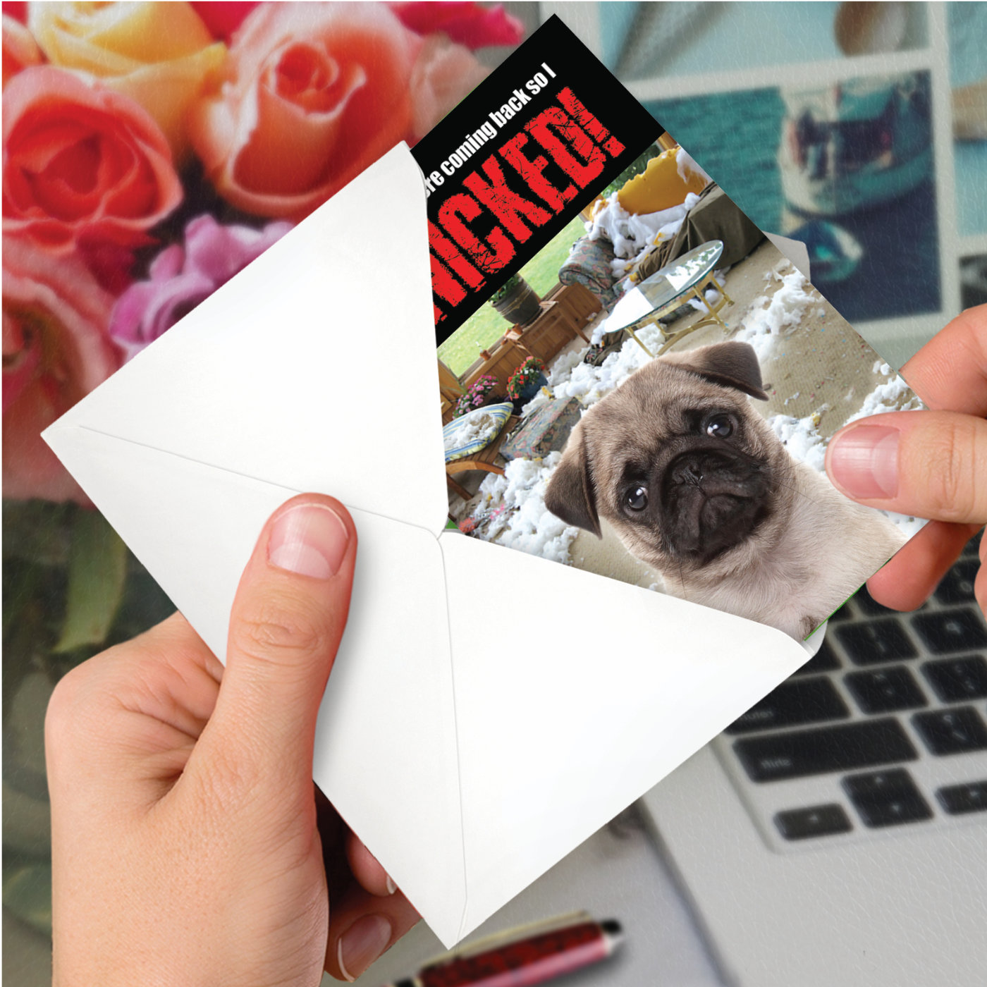 Dog Panicked: Humorous All Occasions Blank Paper Greeting Card