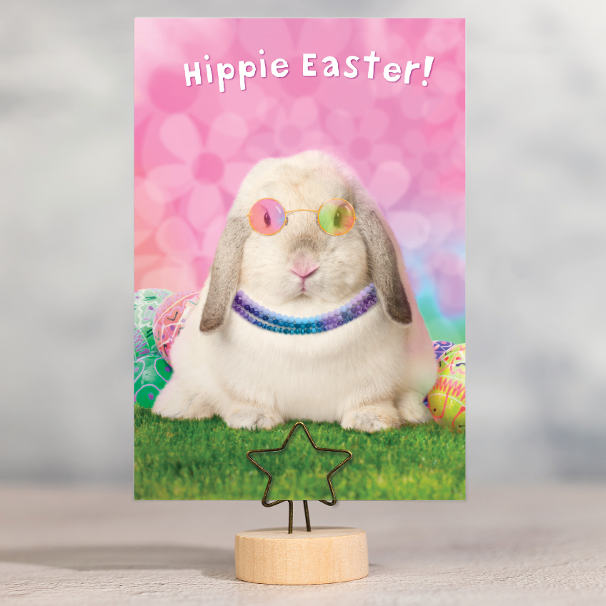 Hippie Rabbit: Humorous Easter Pack of 3 Cards