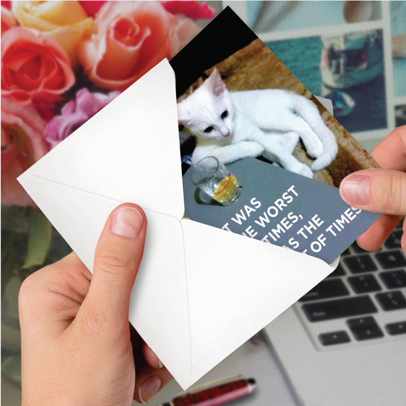 Worst of Times: Humor Birthday Card - Cat