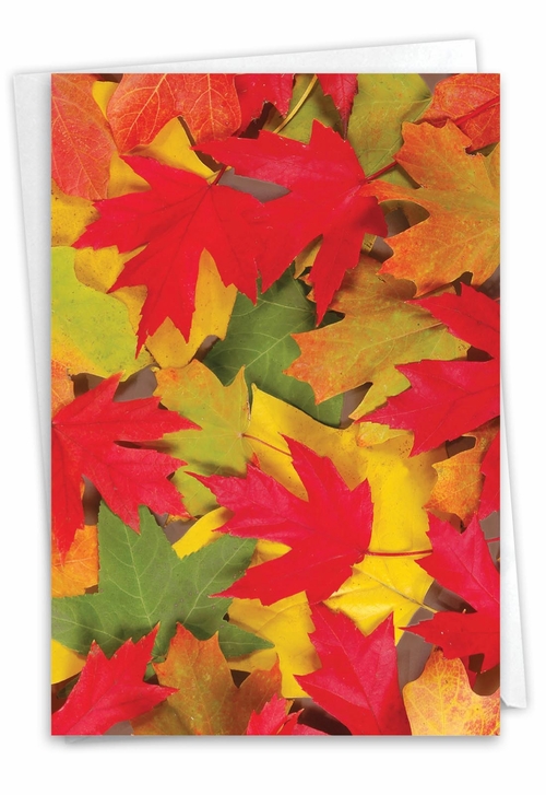 Leaf a Message - Maple: Beautiful All Occasions Blank Printed Greeting Card