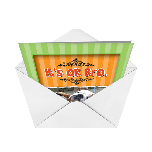 It's Ok Bro Petigreet Birthday Greeting Card