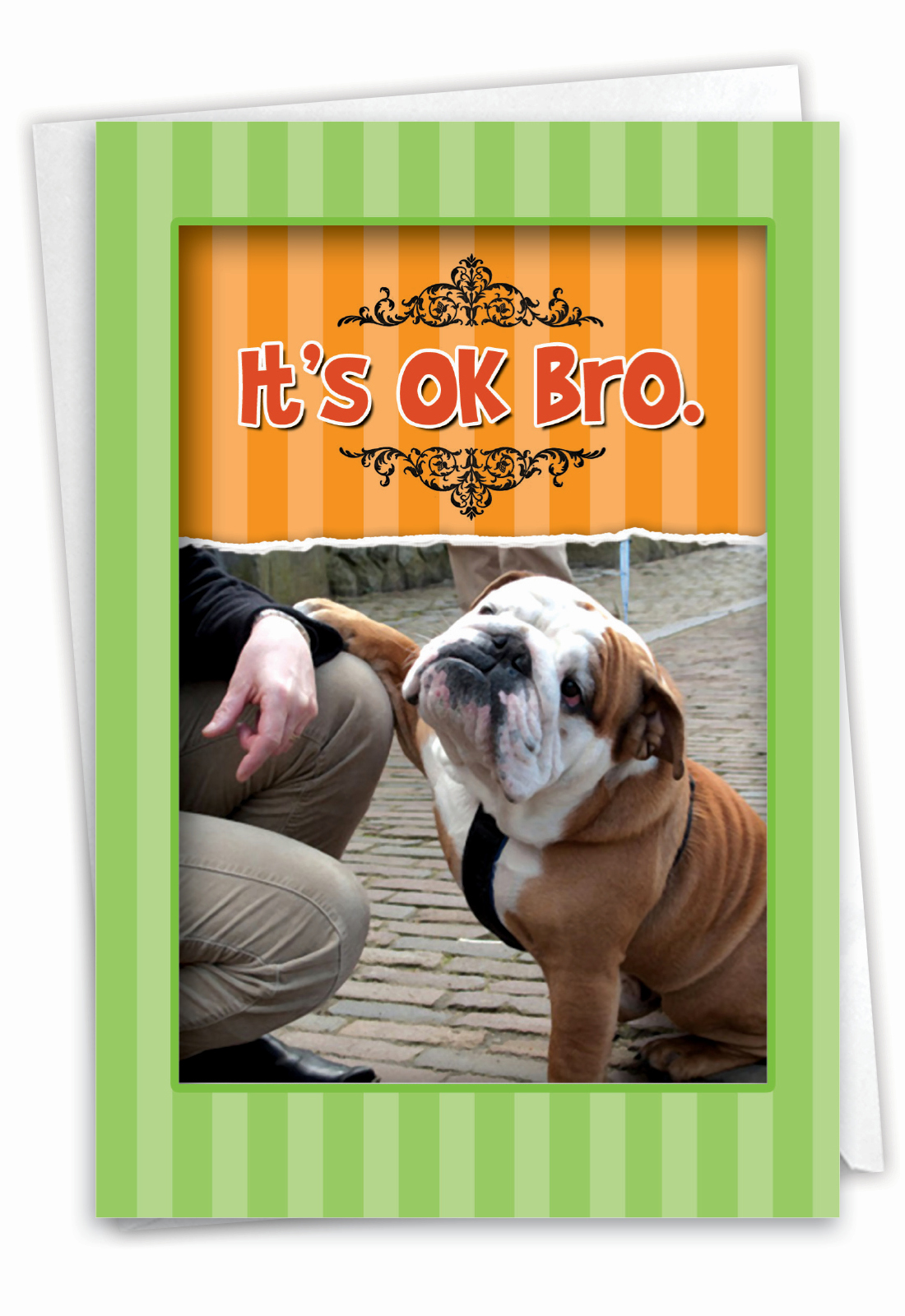 It's OK Bro: Funny All Occasions Card - Dog