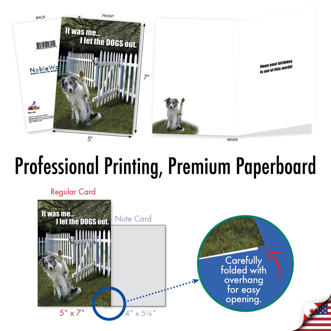 Let Dogs Out: Funny Birthday Greeting Card