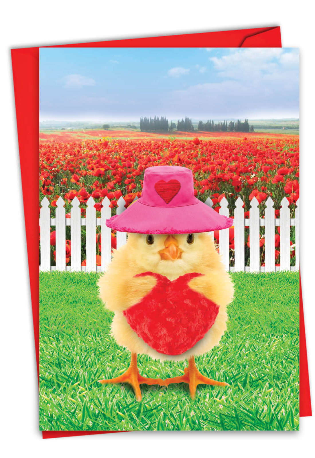 Loving Chicks: Creative Valentine's Day Card