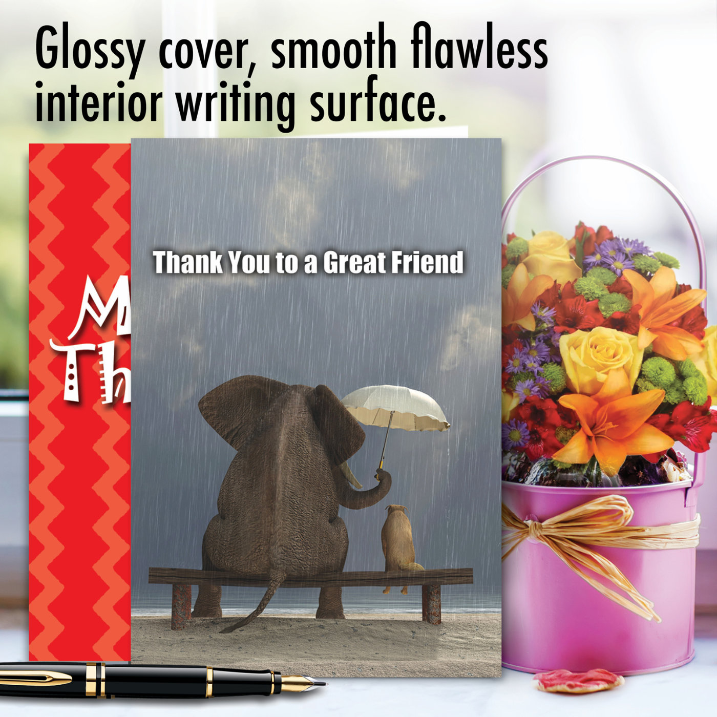 Many Thanks: Humor Thank You Assortment of 10 Cards - Animals