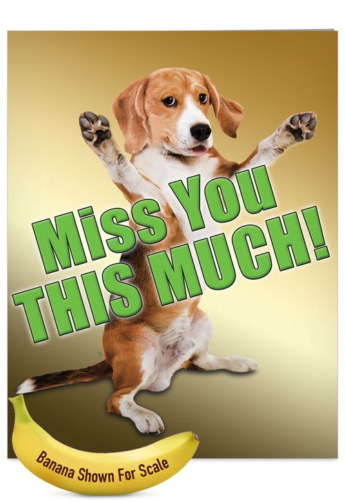 Miss Youthis Much Dog Petigreet Miss You Card