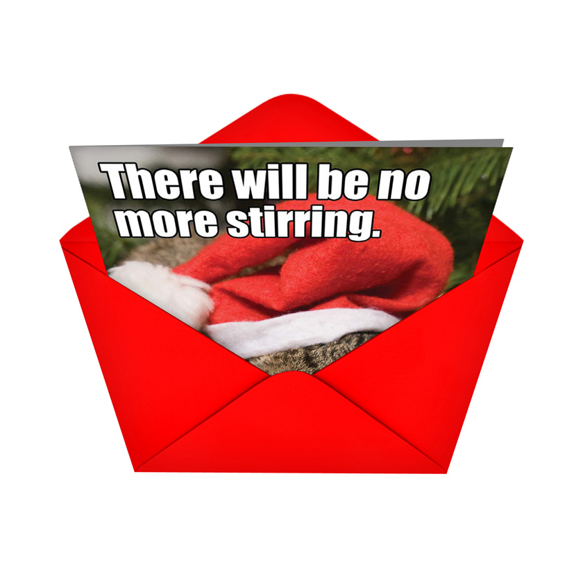 No More Stirring Cat Patigreet Christmas Joke Card