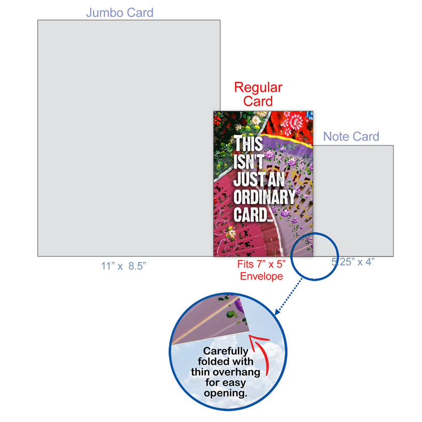 No Ordinary Card - Funny Birthday Card