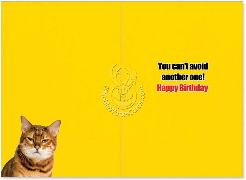 Nope: Hysterical Birthday Printed Greeted Card
