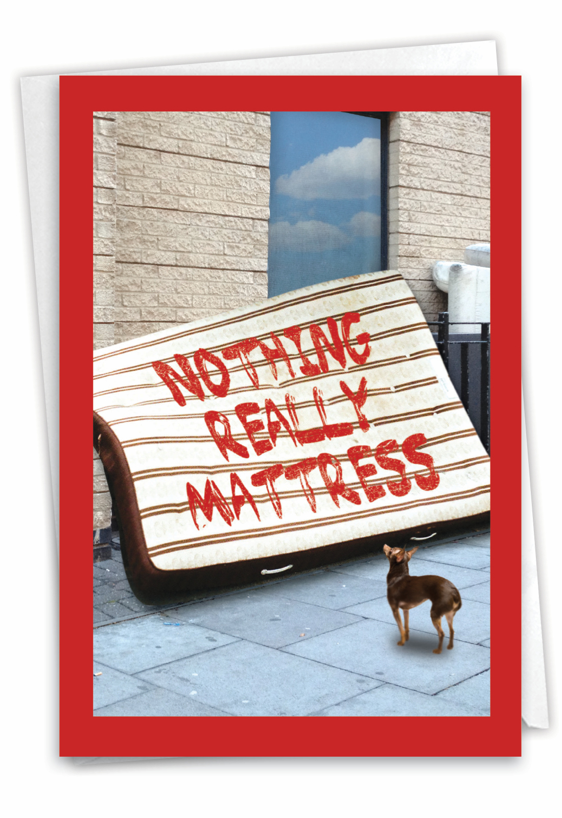Nothing Mattress: Funny Blank Greeting Card - Dog