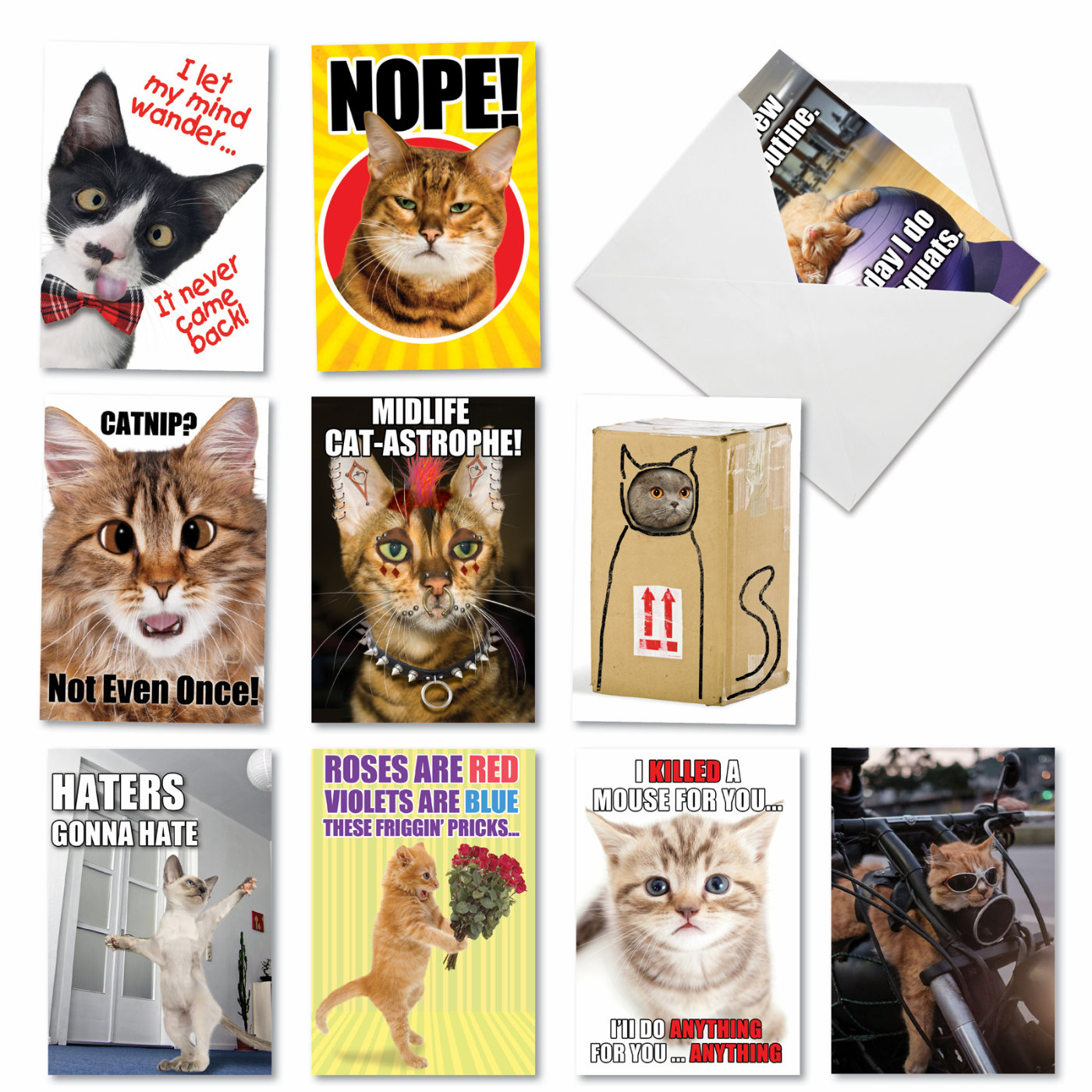Grumpy Cat Birthday Ecard