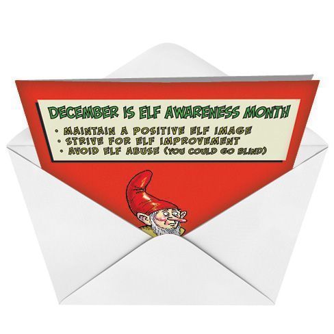 Rice Cakes Santa Funny Christmas Card