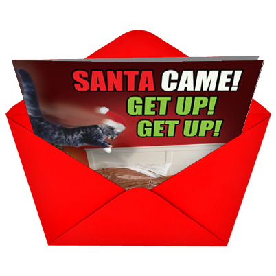 Santa Came, Get Up Christmas Greeting Card