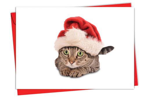 Santa Cats - A Nobleworks By Design Christmas Greeting Card