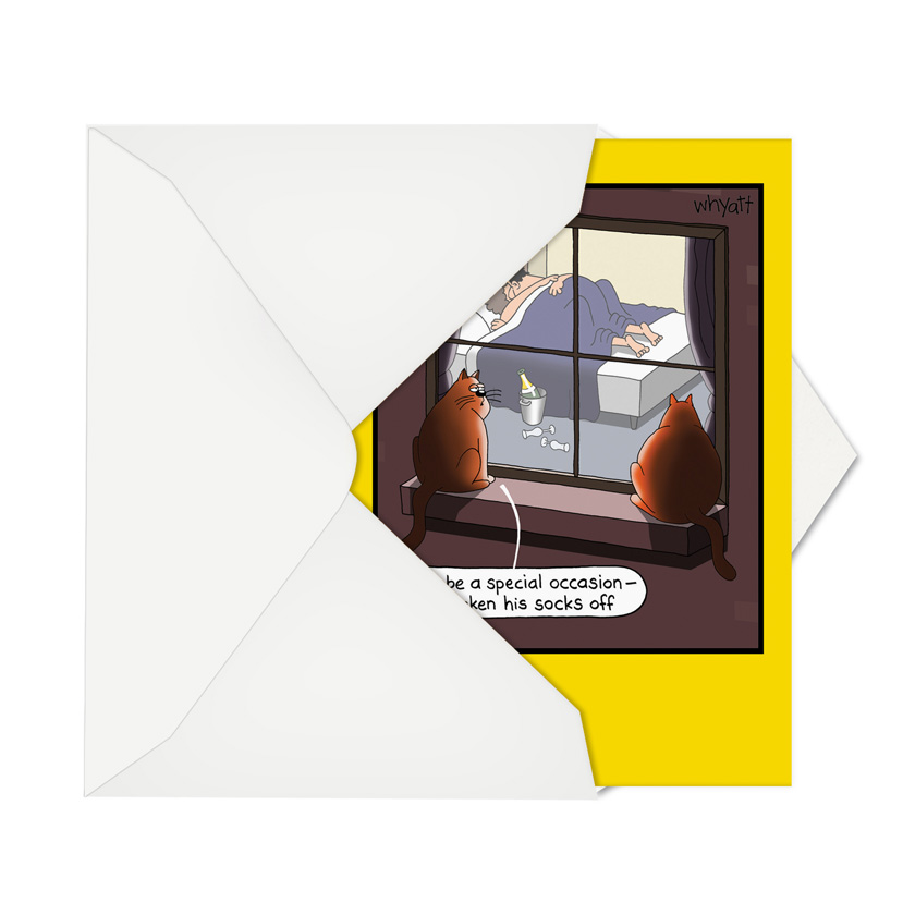 Special Occasion Sex: Funny Anniversary Card