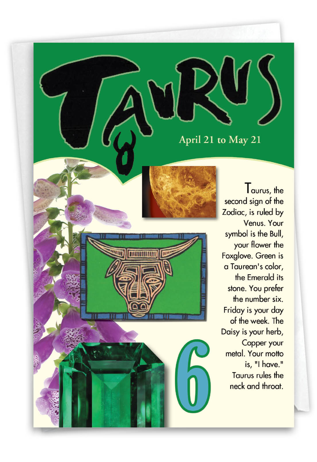 Taurus: Funny Birthday Greeting Card