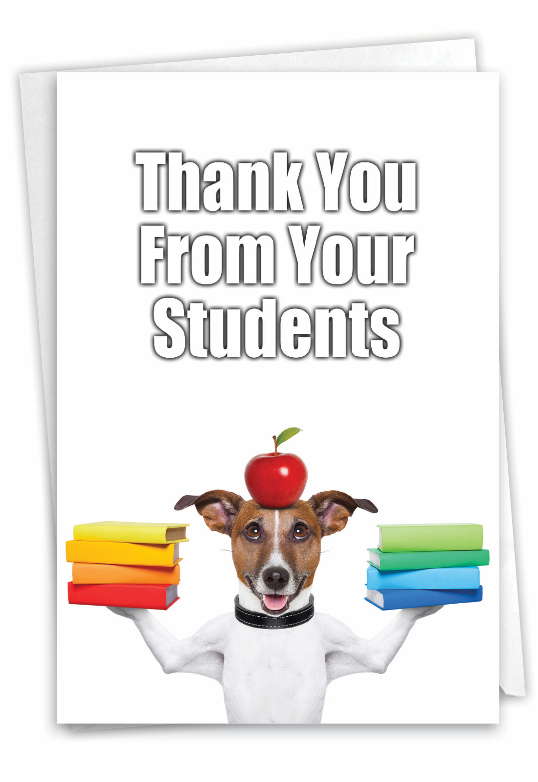 Thank You From Students: Funny Thank You Card